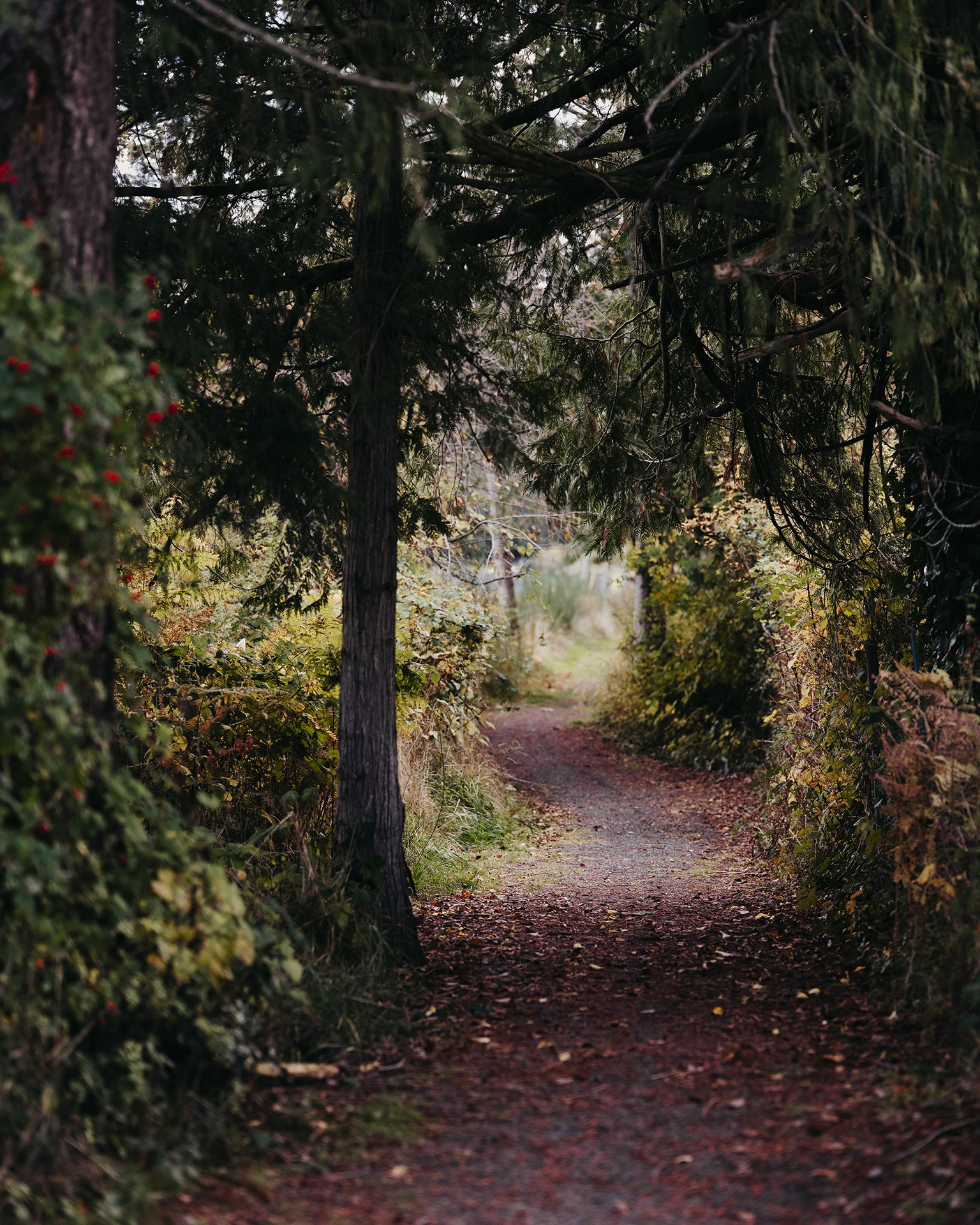 Our Board Members - Pender Island Chamber of Commerce